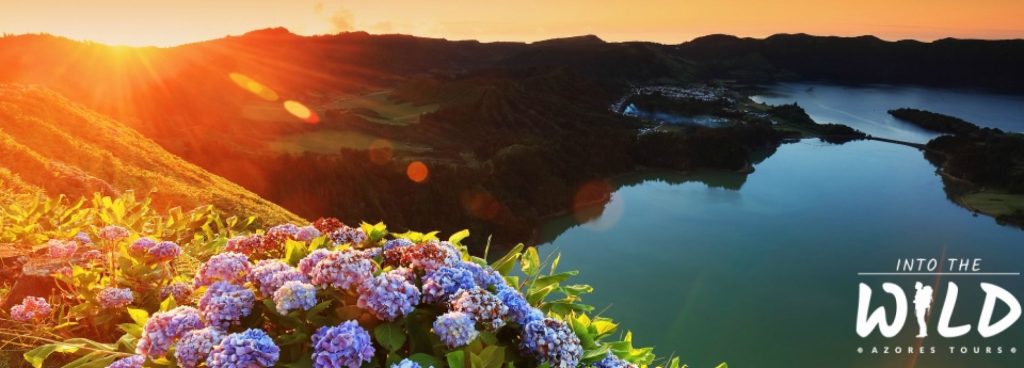4 reasons to fall in love with the Azorean islands - Into The Wild ...